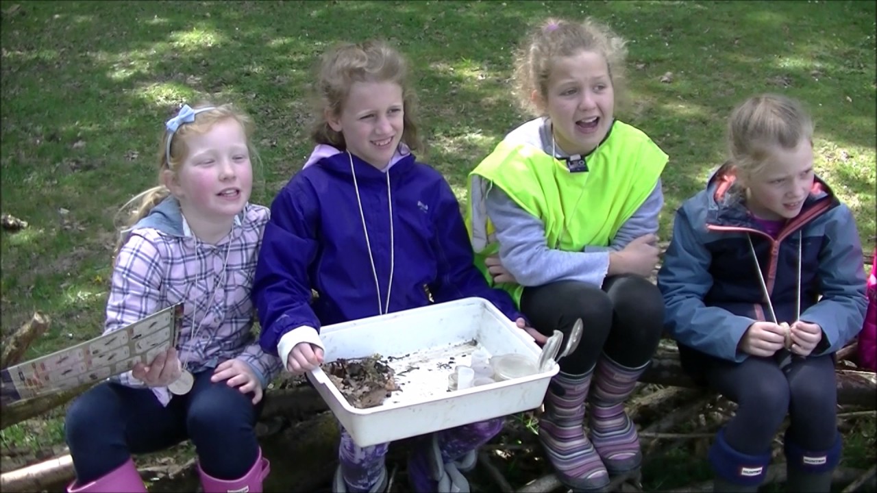 Y4 Trip to Minstead Study Centre - YouTube
