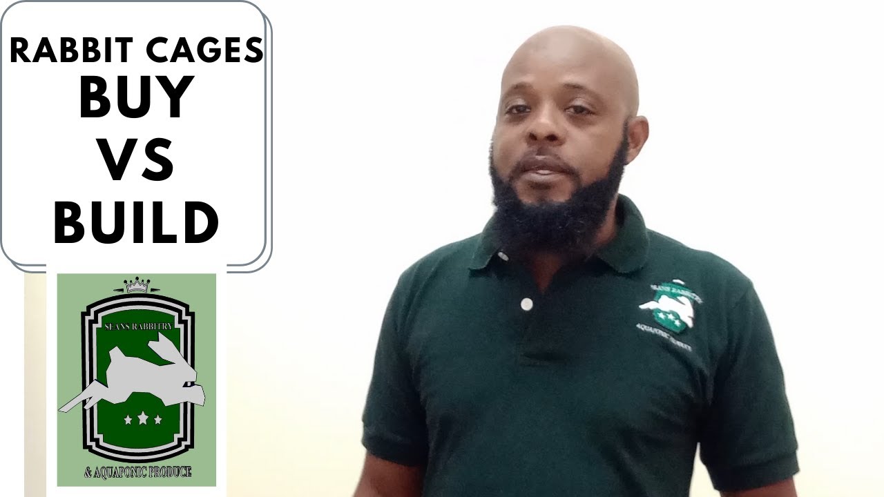 Trinidad Rabbit Farming - Rabbit Cages (Buy vs Build) - YouTube