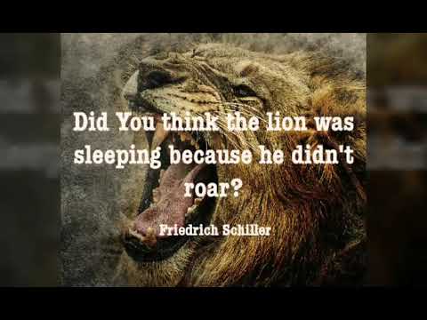 Roar like a lion.. Motivational Quotes on Lion|The Stimulus - YouTube