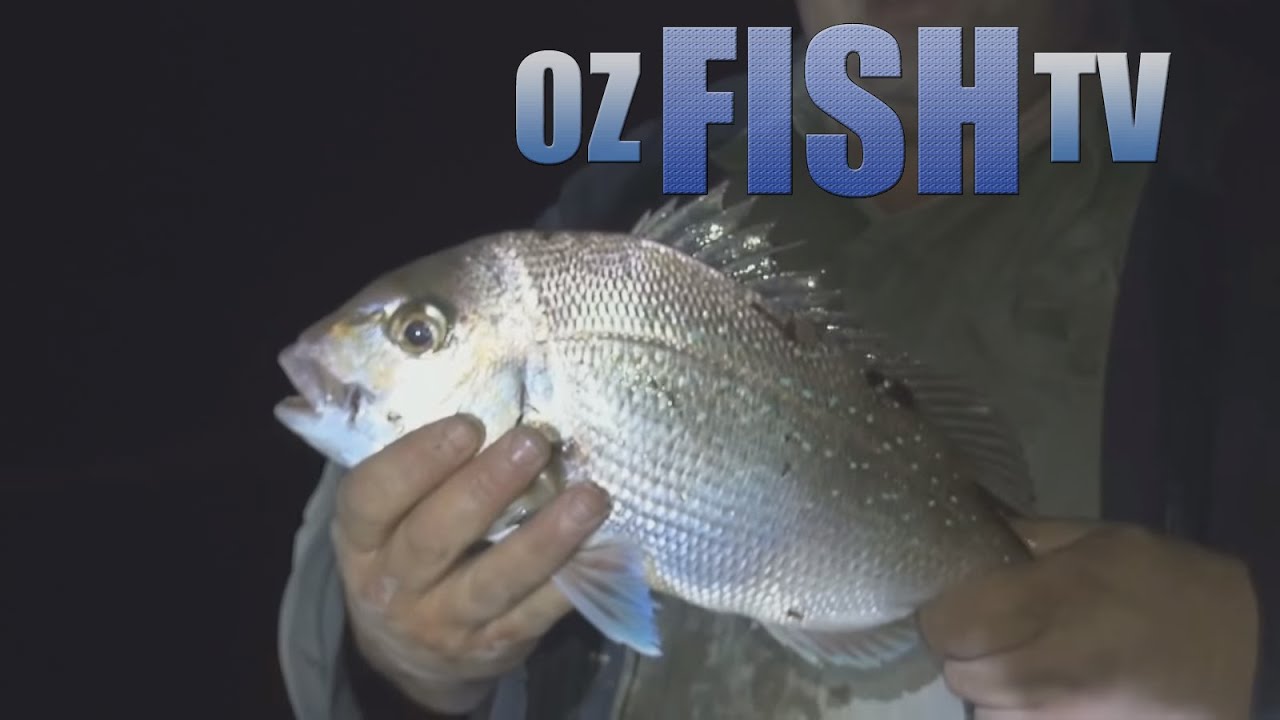 Oz Fish TV Season 2 Episode 9 - One Off Catches and Outtakes - YouTube