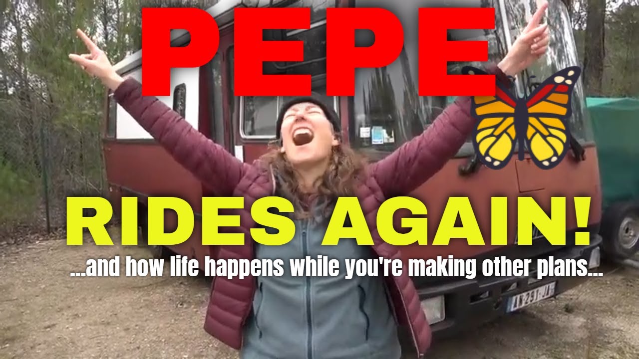 Pepe🦋 Camper Bus Build #30| Pepe rides again! - YouTube