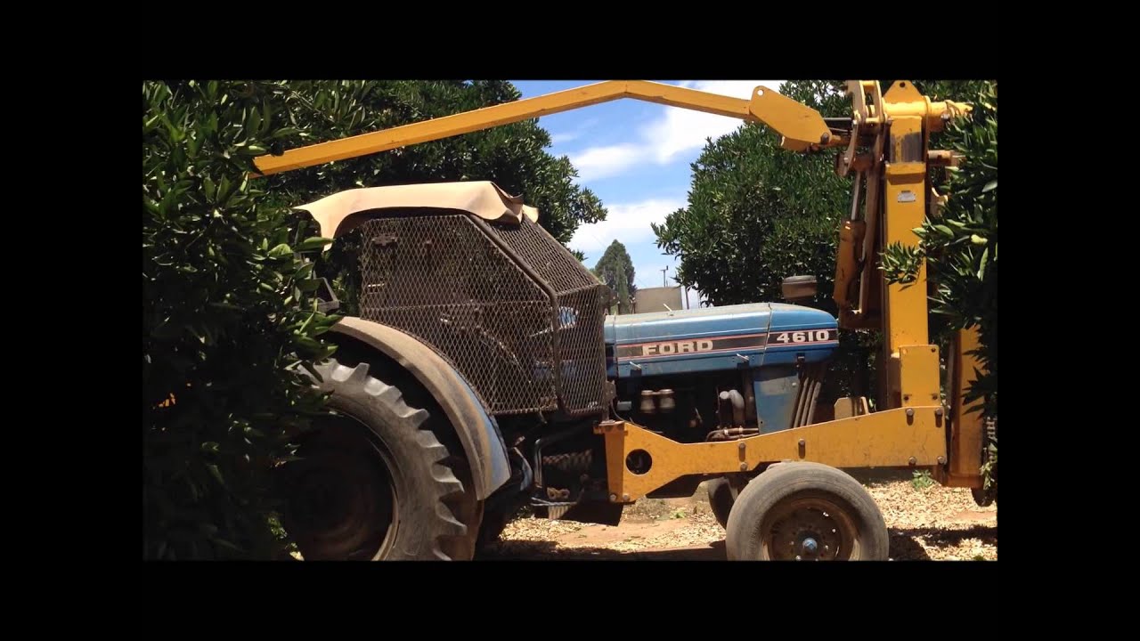 Skirting Trees - YouTube