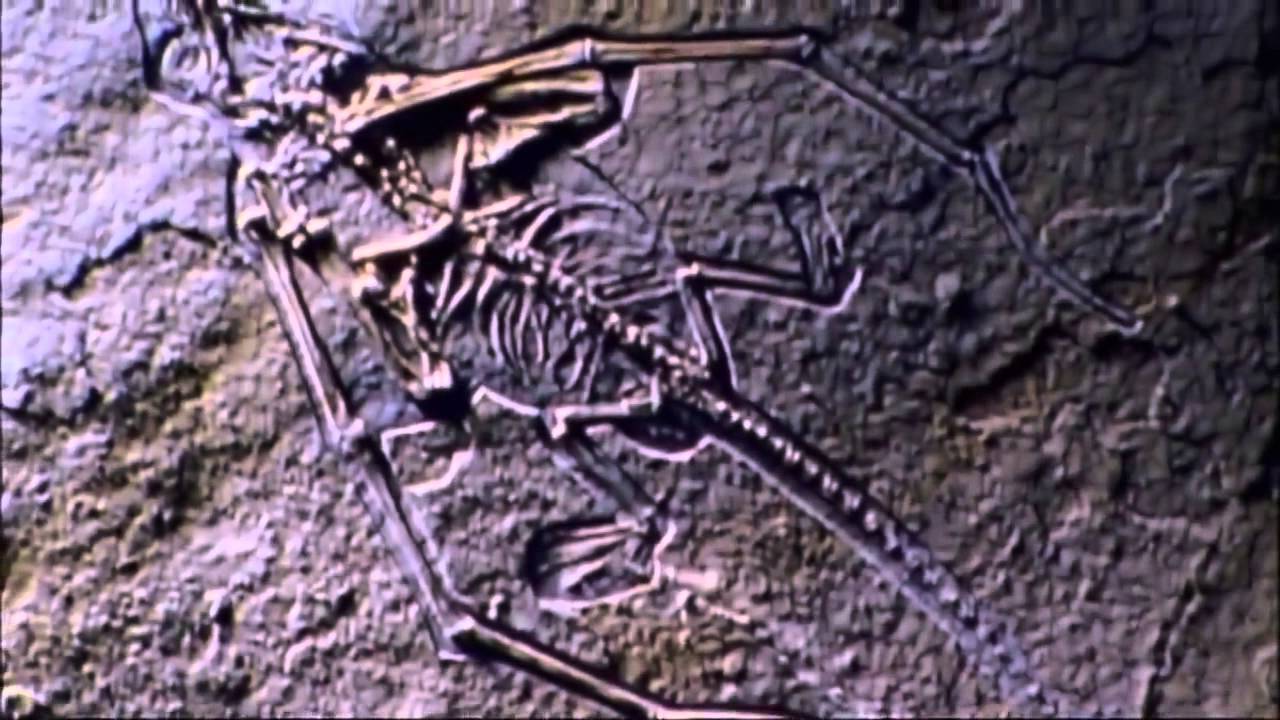 Documentary Alien Planet Mega Discovery Mind Blown Discovery ...