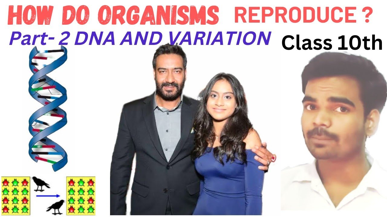 How do Organisms Reproduce ? CBSE class 10 | L2 | DNA and Variation ...