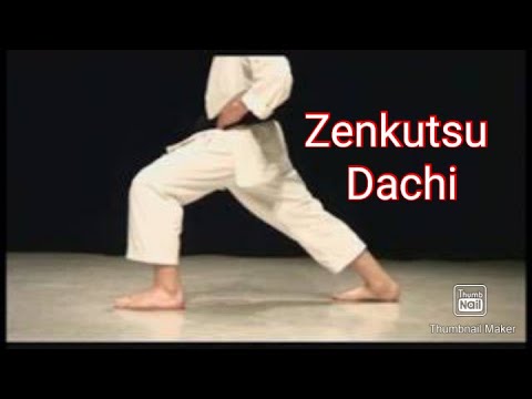Basics of the Karate fighting stance ~ HAN ZENKUTSU DACHI - YouTube
