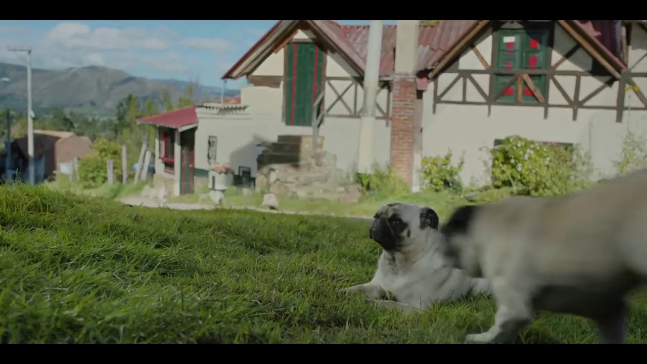 Vodaphone add park - YouTube