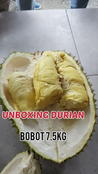 UNBOXING DURIAN LANGSUNG BARU JATUH - YouTube