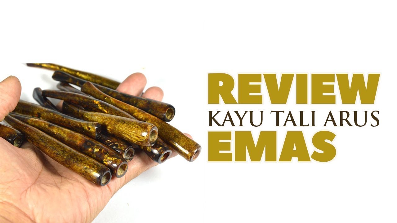 review once kayu Tali Arus / ulin emas - YouTube