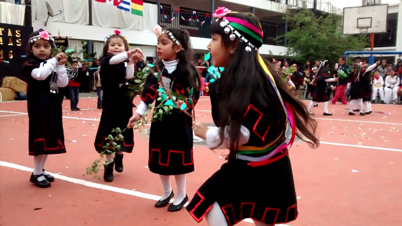 Baile mapuche - YouTube