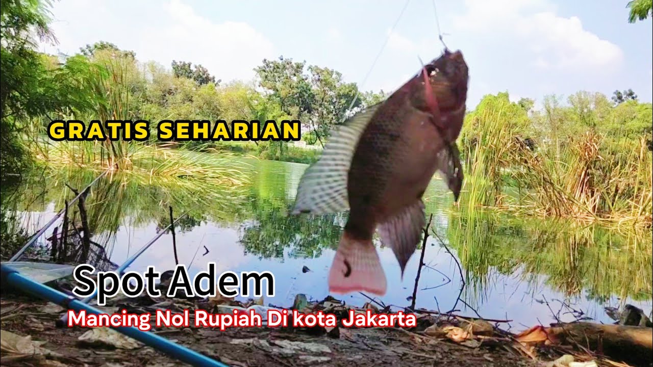 Mancing Liar Nol Rupiah Di Jakarta Sambil Refreshing - YouTube