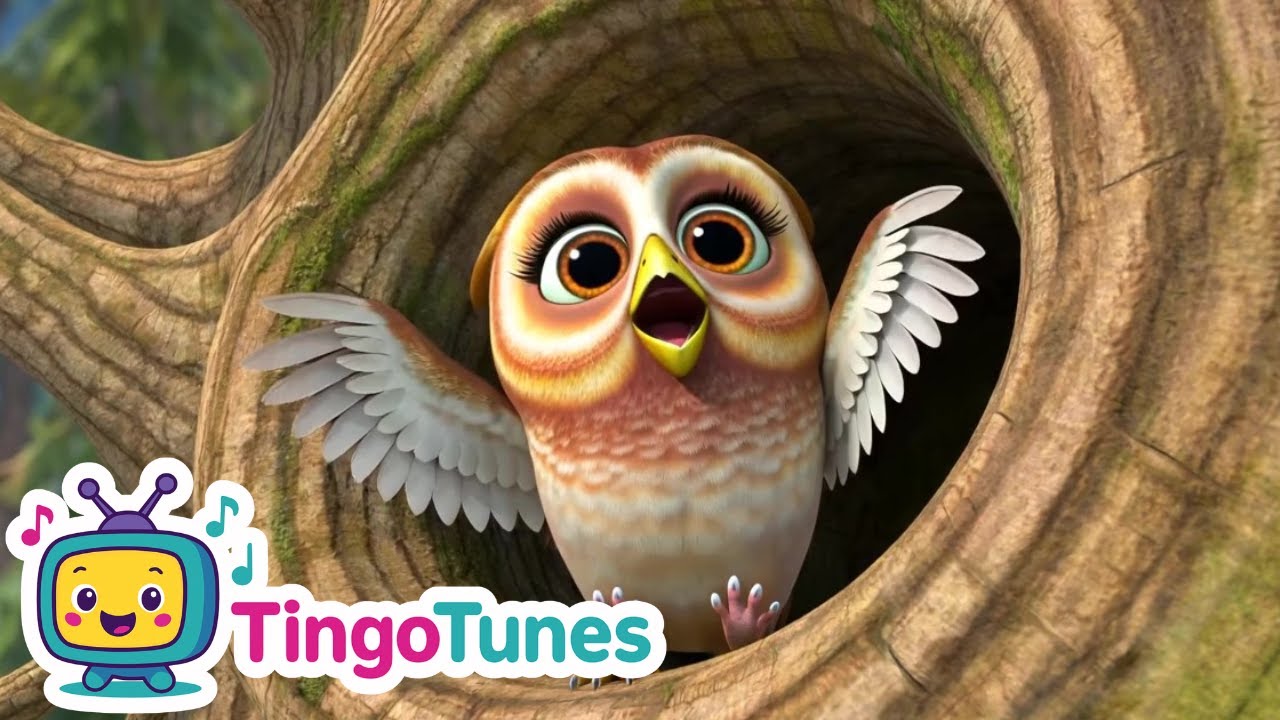 🦉Little Owl Says Hoo Hoo! Fun Kids Song with Nighttime Adventure ...