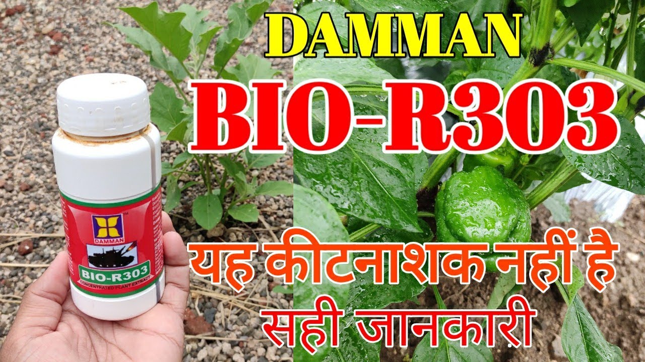 Bio-R303 DAMMAN || BIO 303 हे कीटकनाशक नाही तर खत आहे || Bio 303 सही ...
