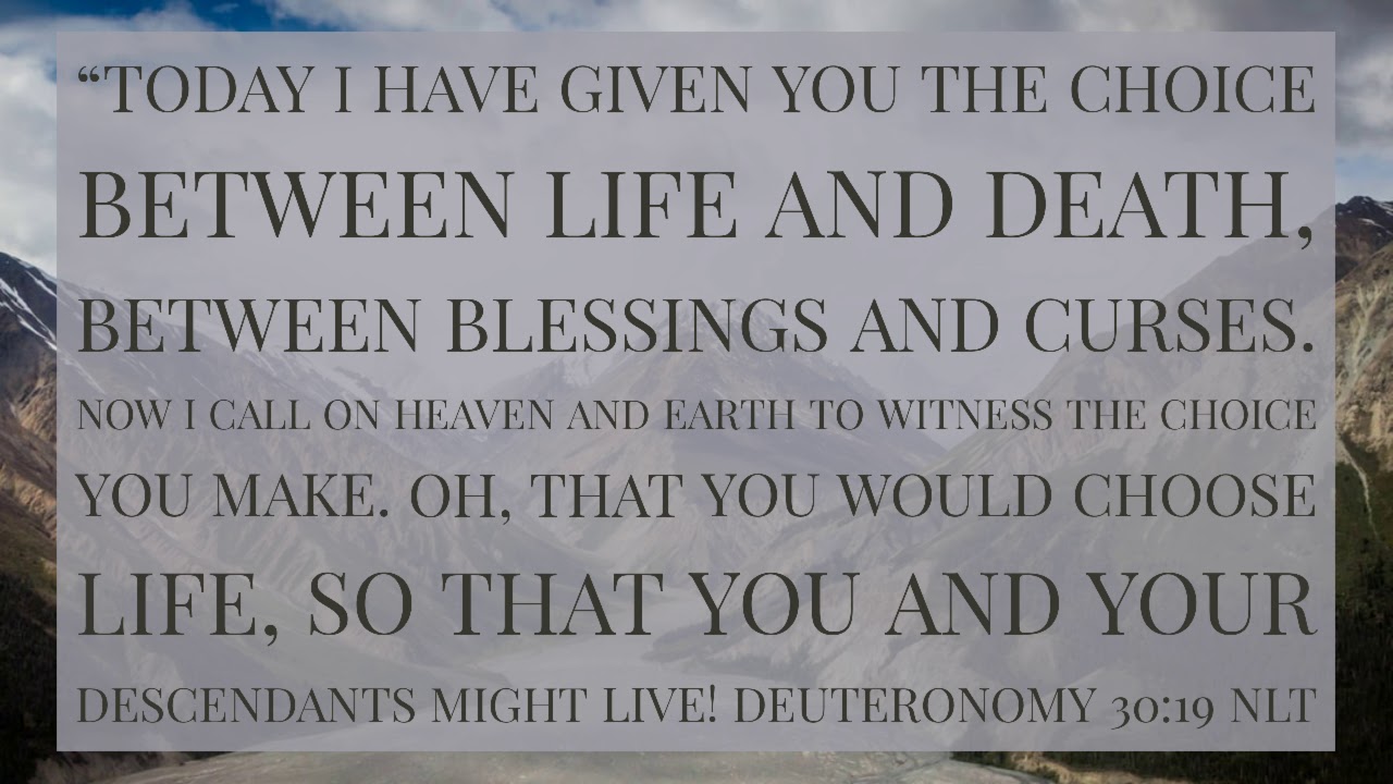Video Verses Deuteronomy 30:19 NLT - YouTube