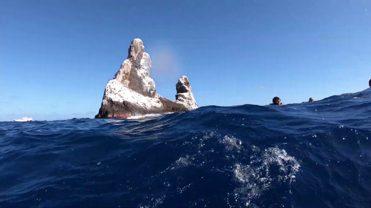 Diving Isla Roca Partida , Revillagigedo - YouTube