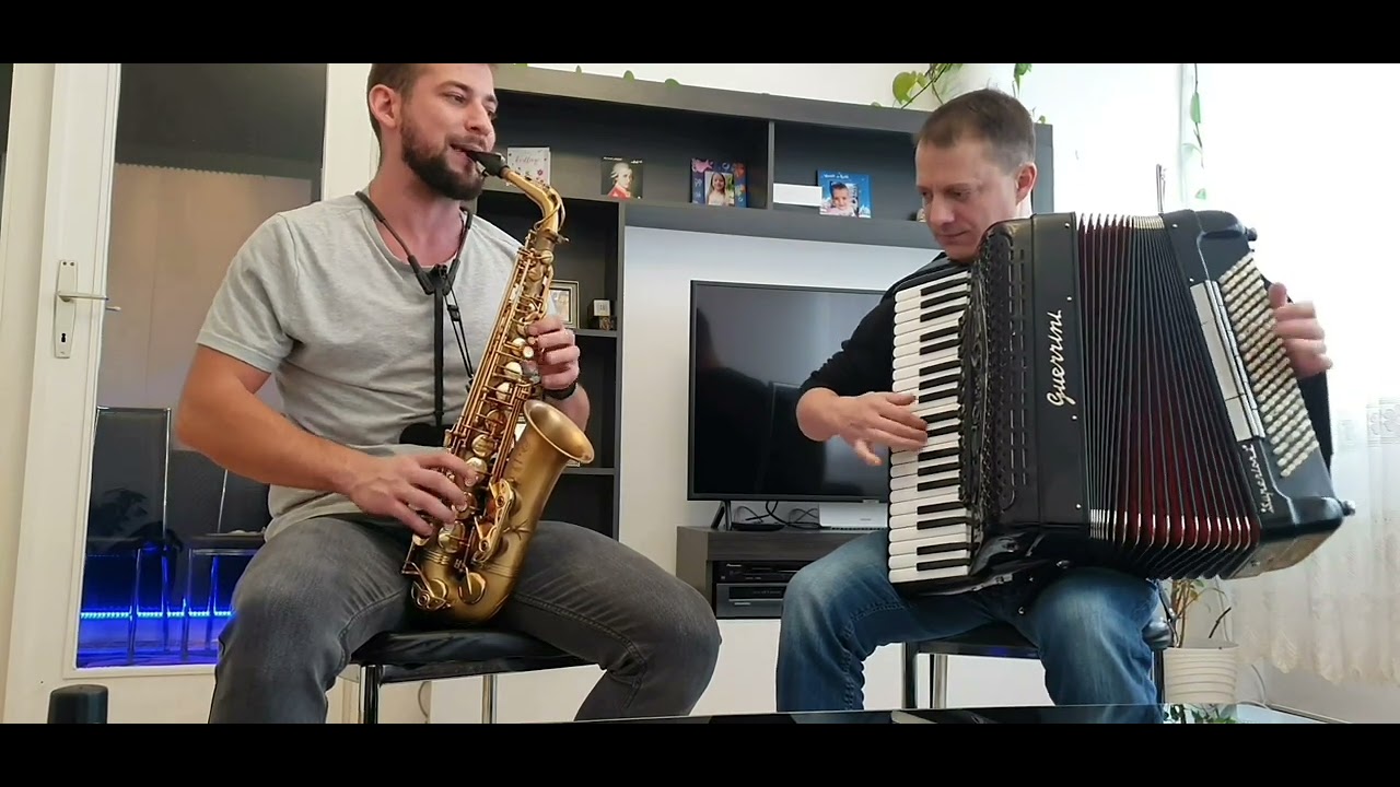 Aleksandar Verbić"Vlaške gajde"-Živa Dinulović - YouTube