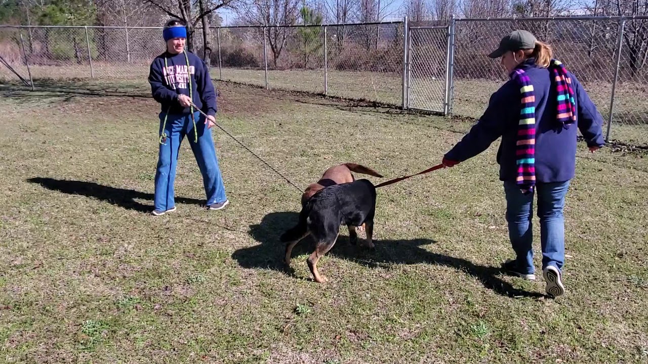 Rosie, Morrison video 2 Feb 15 - YouTube