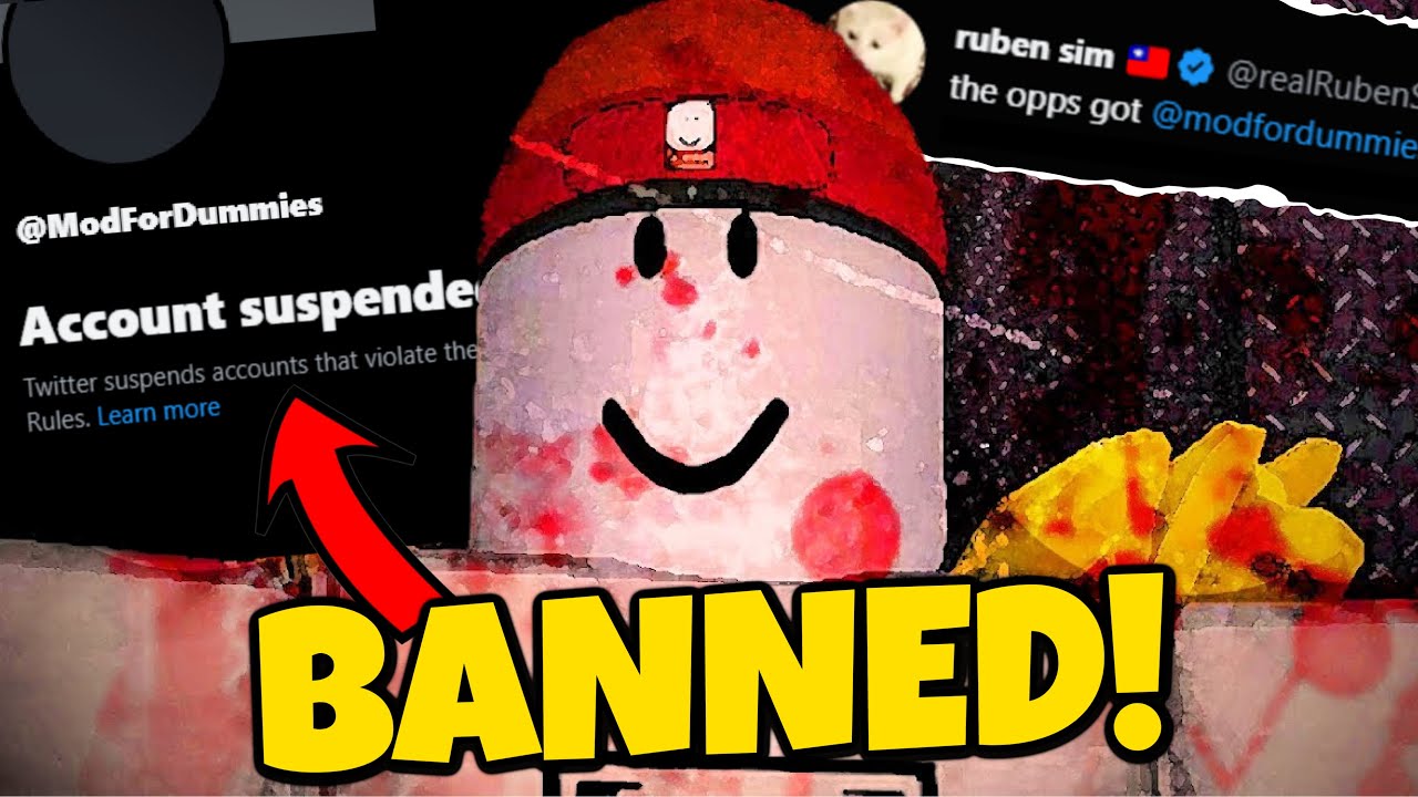 Ruben Sim BANNED on Twitter.. (ModForDummies) - YouTube