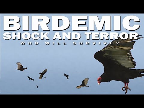 BIRDEMIC: SHOCK AND TERROR (2010) TRAILER
