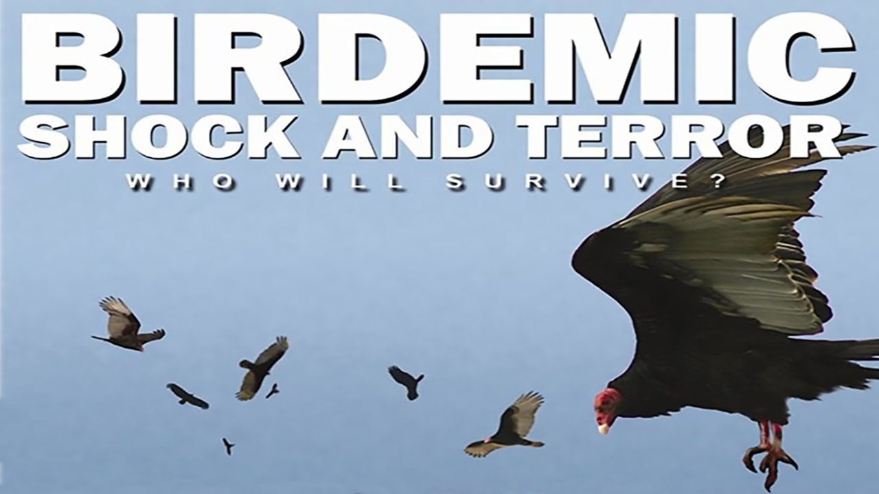 BIRDEMIC: SHOCK AND TERROR (2010) TRAILER - YouTube