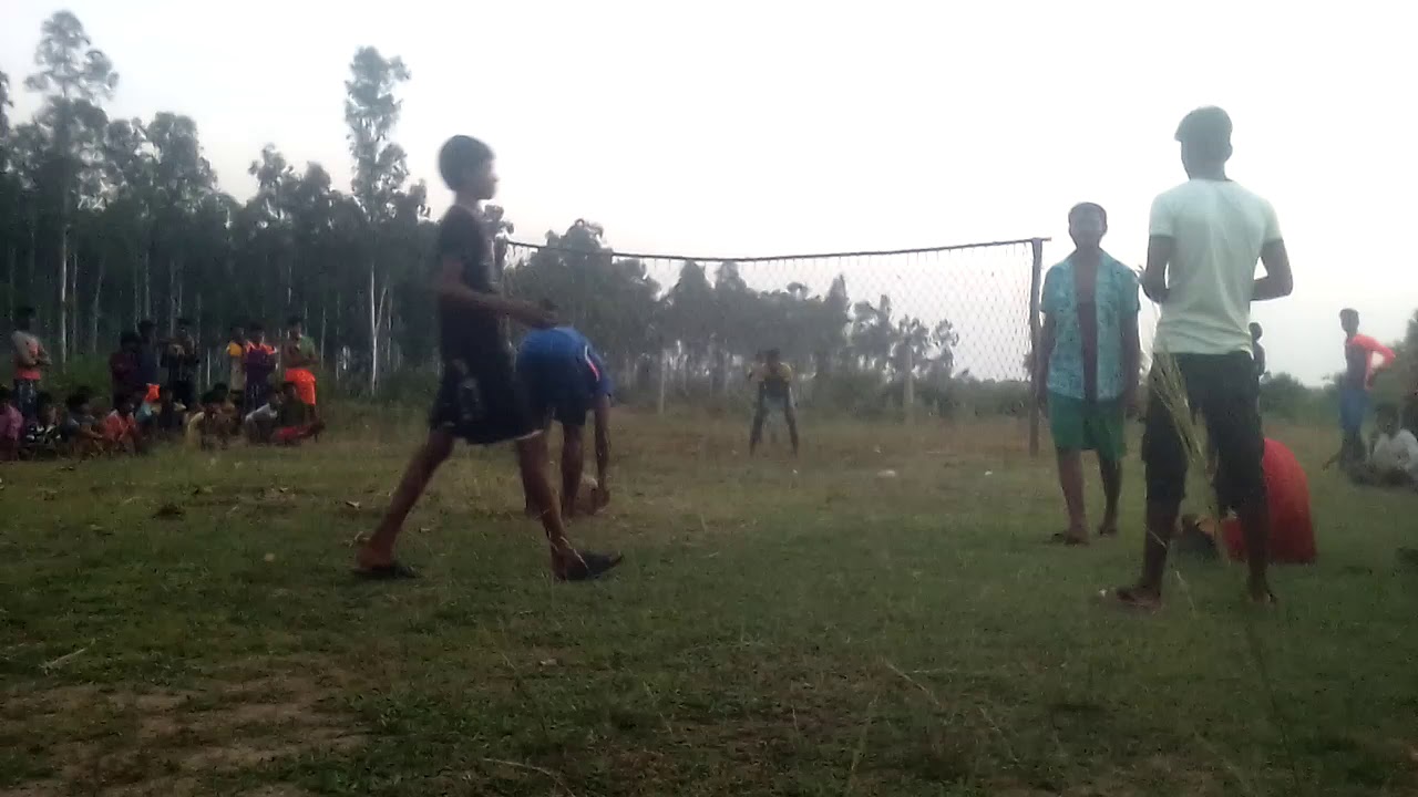 Amchura vs nonasol palantic sort - YouTube