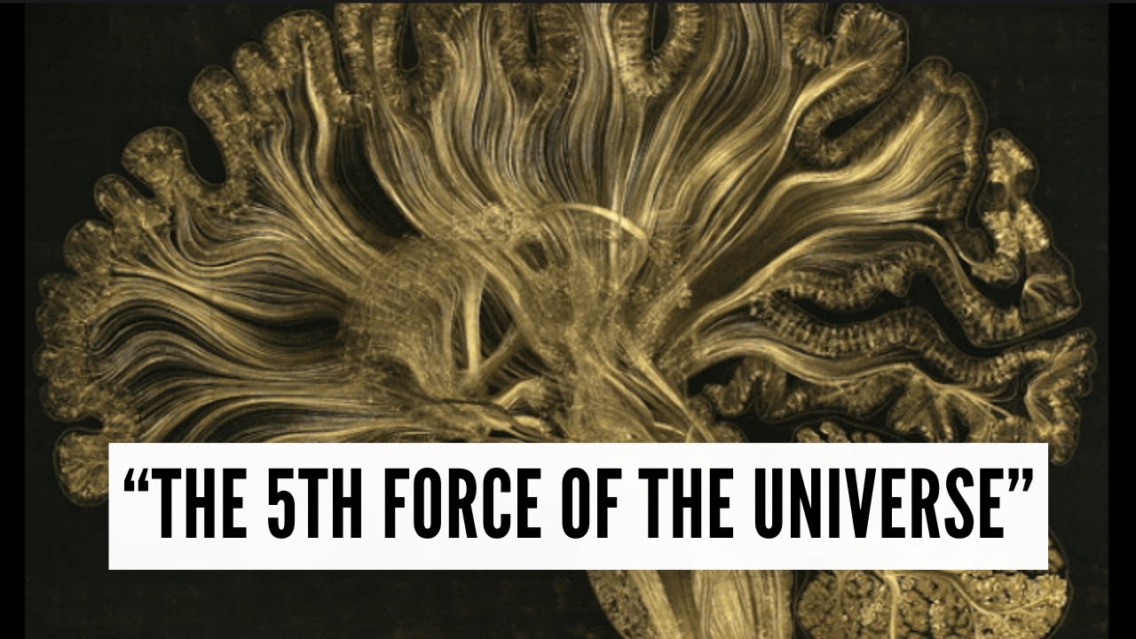Consciousness as a Quantum Field: Is the Mind the Fifth Force of Nature? - YouTube