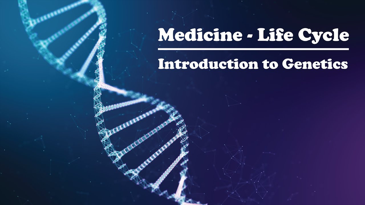 Introduction to Genetics - مقدمة لعلم الجينات - YouTube