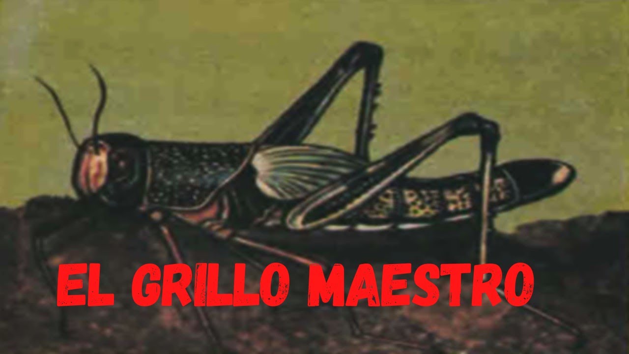 Cuento "El grillo maestro". UN SIMPÁTICO CUENTO CORTO. - YouTube