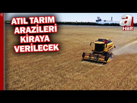 Devletten kiralık tarla! Sahibinin ekmediği tarla kiralanacak! | A Haber
