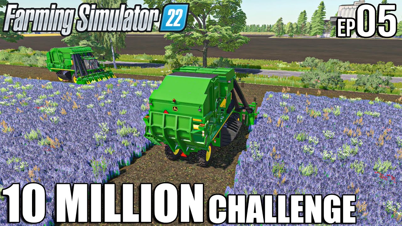 Lavender HARVEST and LOAD with JOHN DEERE | 10 Million CHALLENGE ...