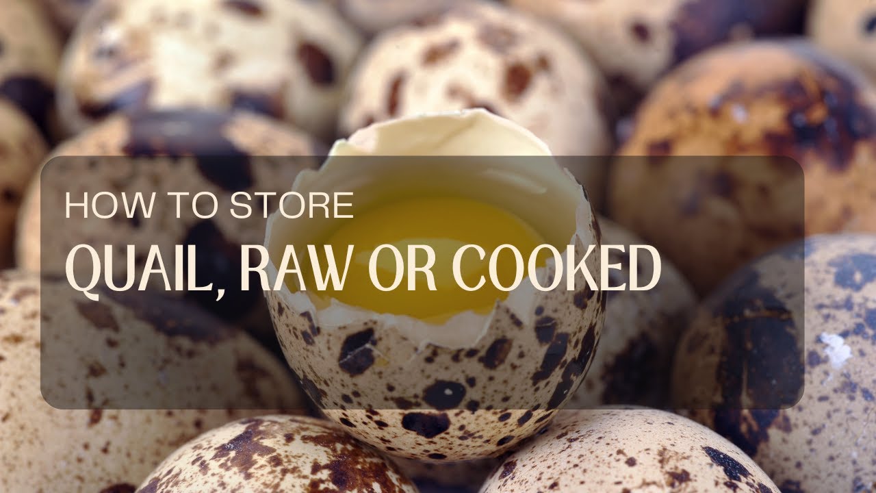 How to Store Quail, Raw or Cooked - YouTube