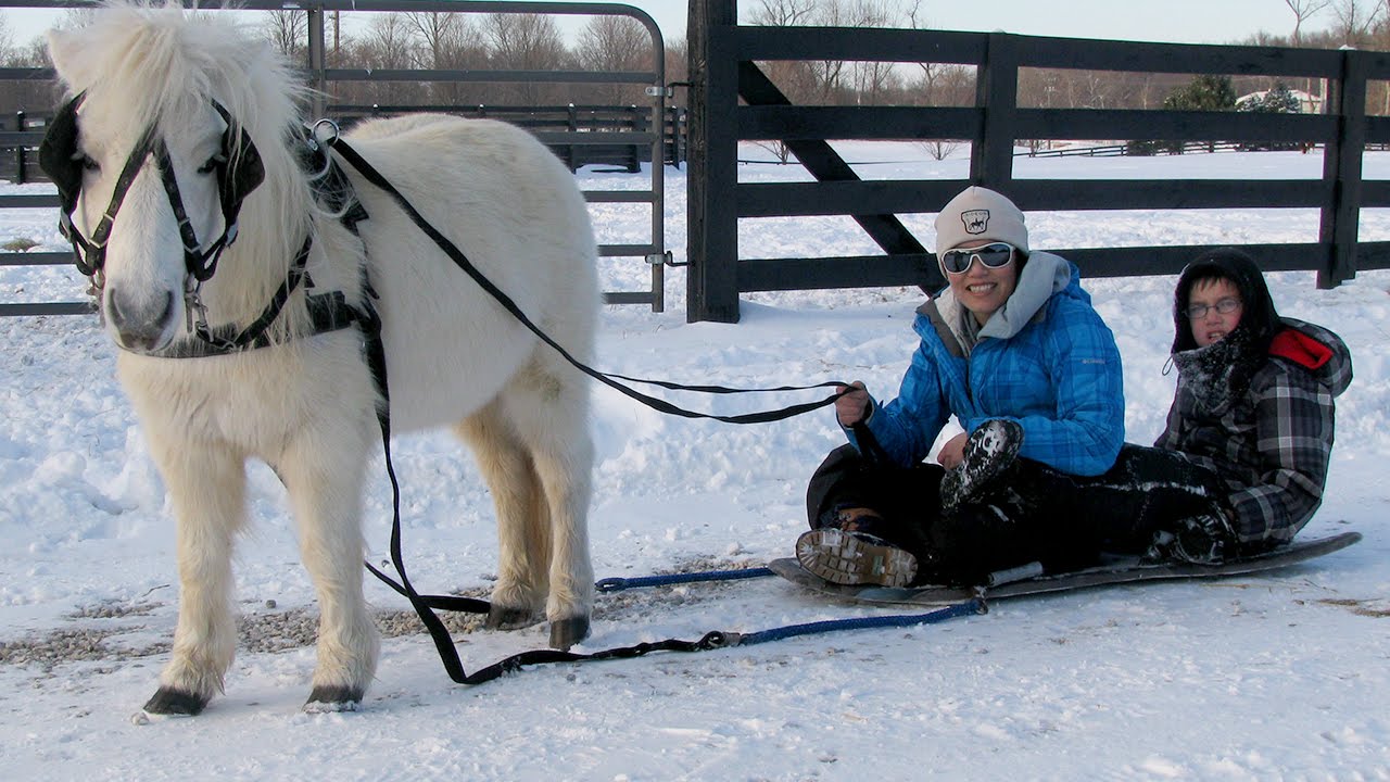 Mini Sled Ride - YouTube