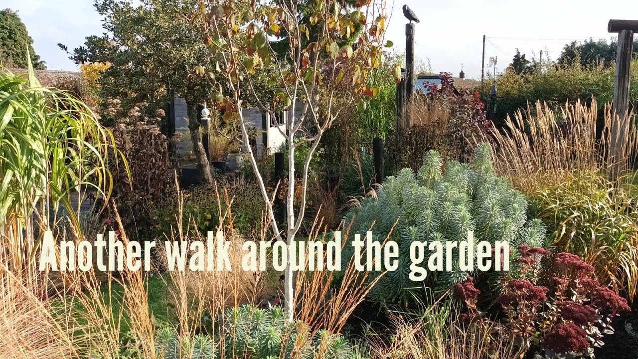 A walk around the garden - YouTube