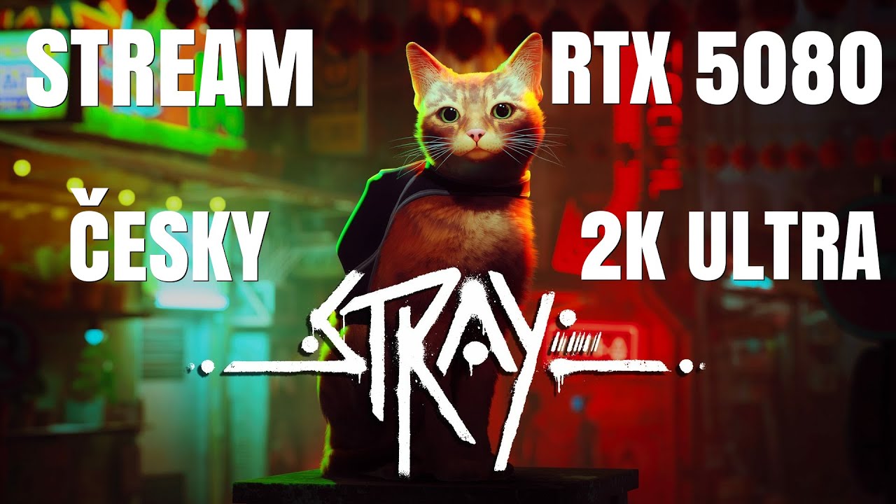 Nejlepší kočičí hra? - Stray |Stream Česky (RTX 5080 2K) - YouTube