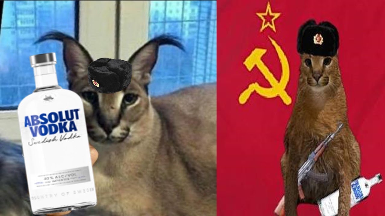 ¿Floppa Ruso? "Intralism" - YouTube