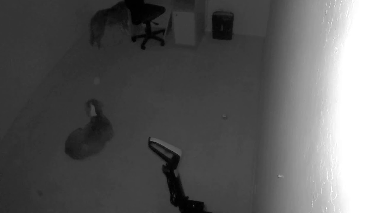 Amazing Video!!! Light Orbs Caught On My Home Security Camera w/ Night ...