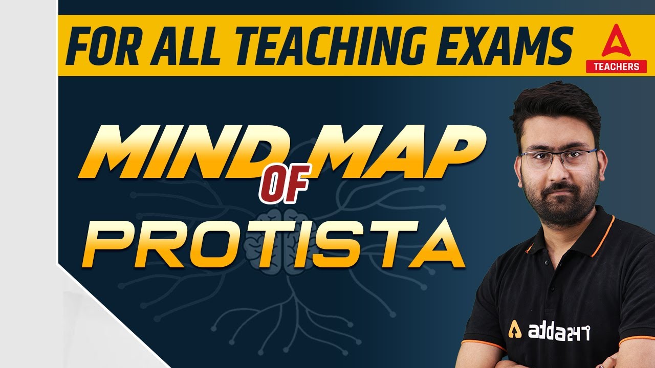 For All Teaching Exams | Mind Map of Protista | By Amit Sir - YouTube