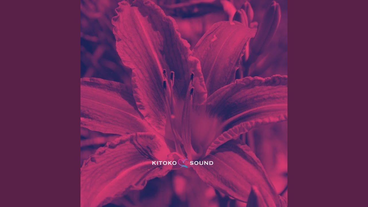 Bulb (feat. Kitoko Sound, Din BEATS & Afro Zen) - YouTube