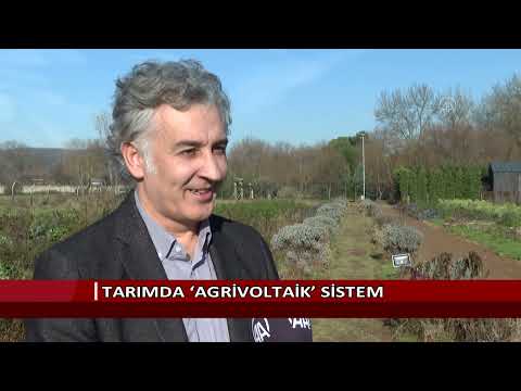 Tarımda ‘agrivoltaik’ sistem