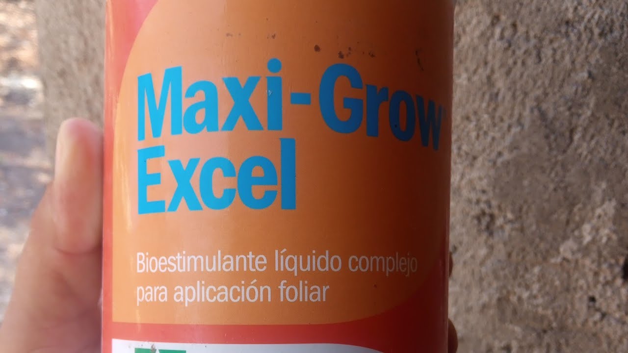 Maxi Grow Excel Liquido para amarra la flor de Limón - YouTube