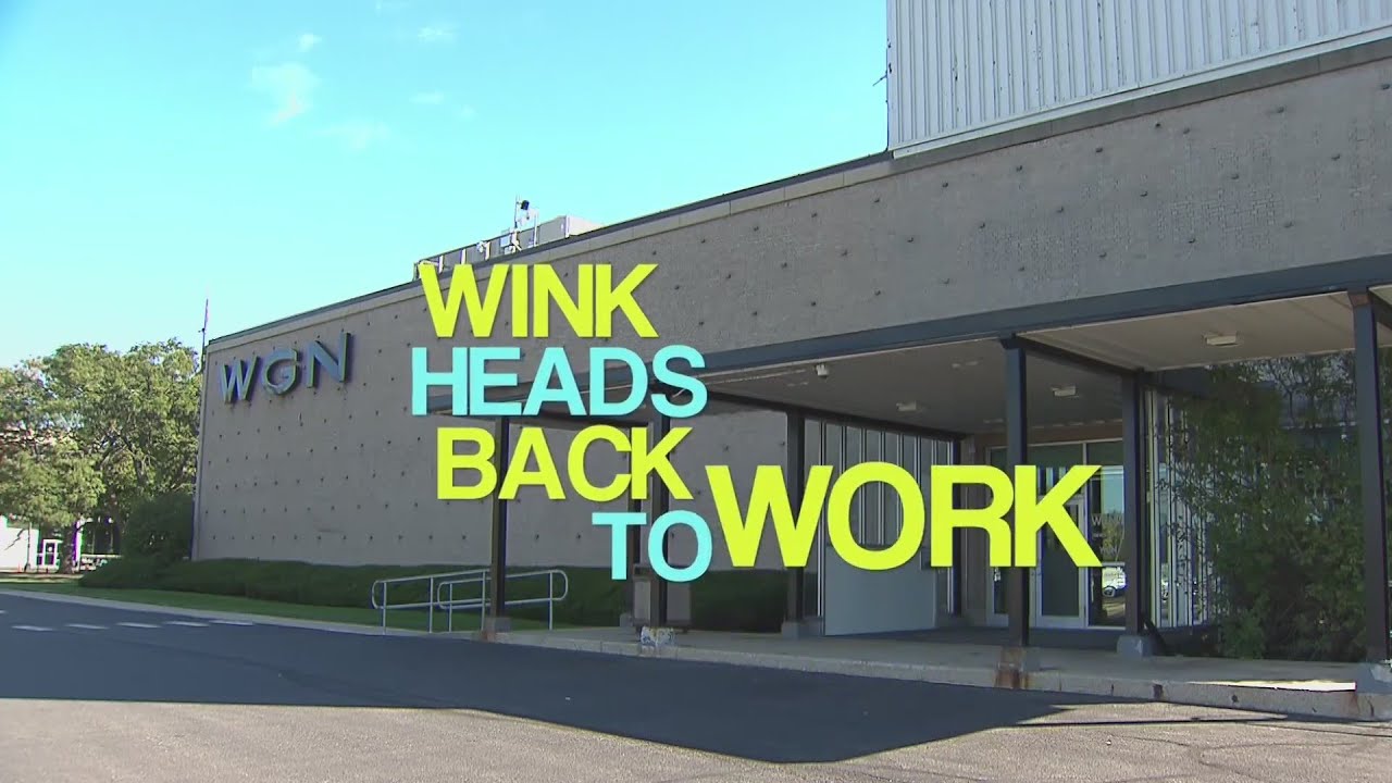 Wink Winkle Returns to Work - YouTube
