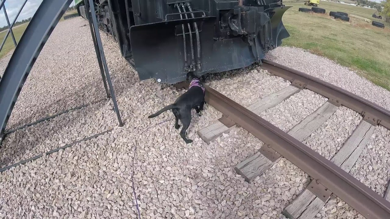 Quinn train search 10 5 18 - YouTube