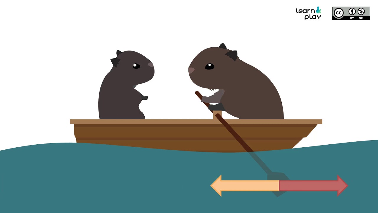 Wechselwirkung Actio-Reactio Wechselwirkungsaxiom -prinzip (Technische Mechanik, Grundlagen ...