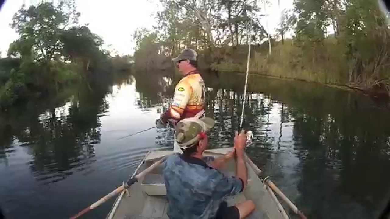 Lure fishing small creek in a tinnie Tarpon, Jungle Perch, Turtle ...