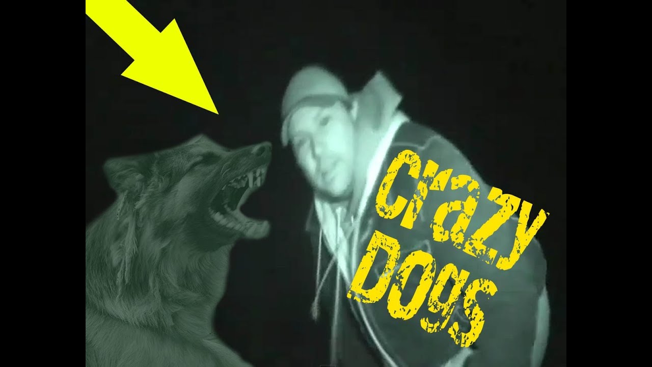 Scary Video - gone wrong chased by devil worshipers! Caught on camera ...