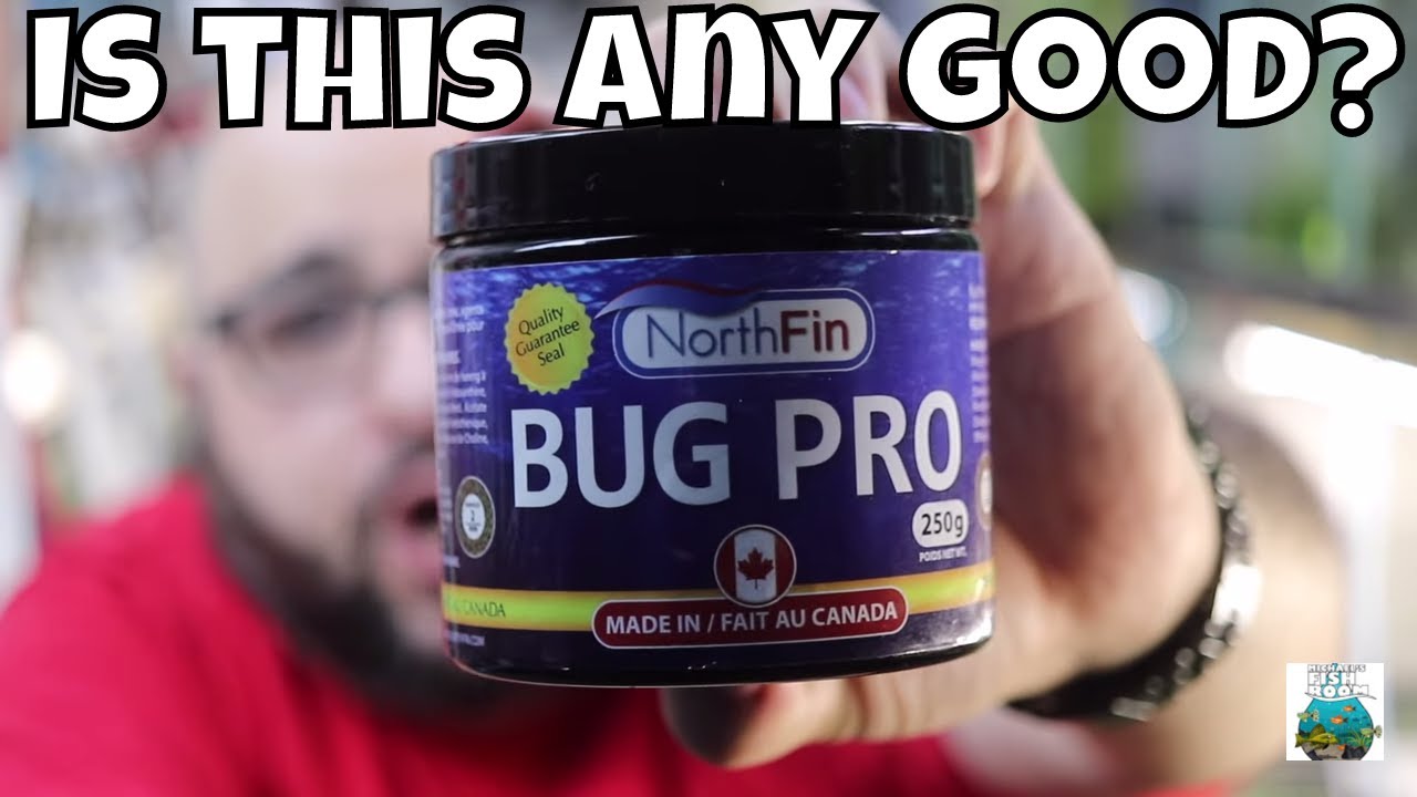 ANOTHER FISH FOOD REVIEW! NORTHFIN BUG PRO - YouTube