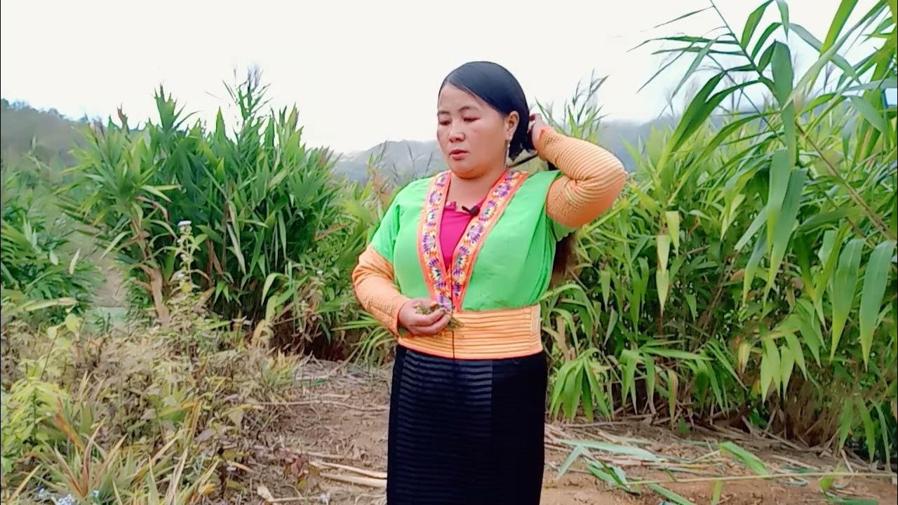 Nkauj kiab hais kwv txhiaj teb rau tsav xeem muas hnub 1/1/2022 - YouTube