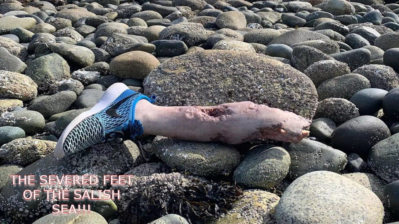 THE SEVERED FEET OF THE SALISH SEA!! - YouTube