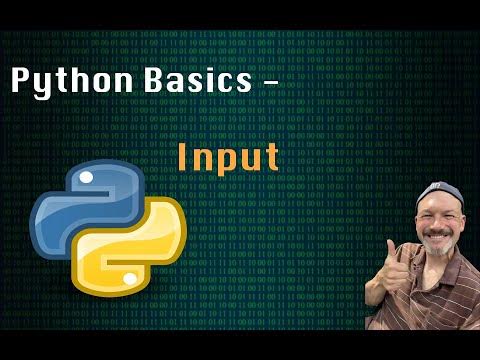 Python Basics - Input Built In Function - YouTube