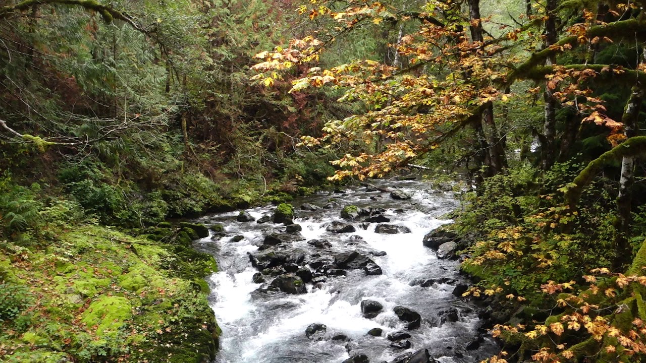 Relaxing river scene #1 - YouTube