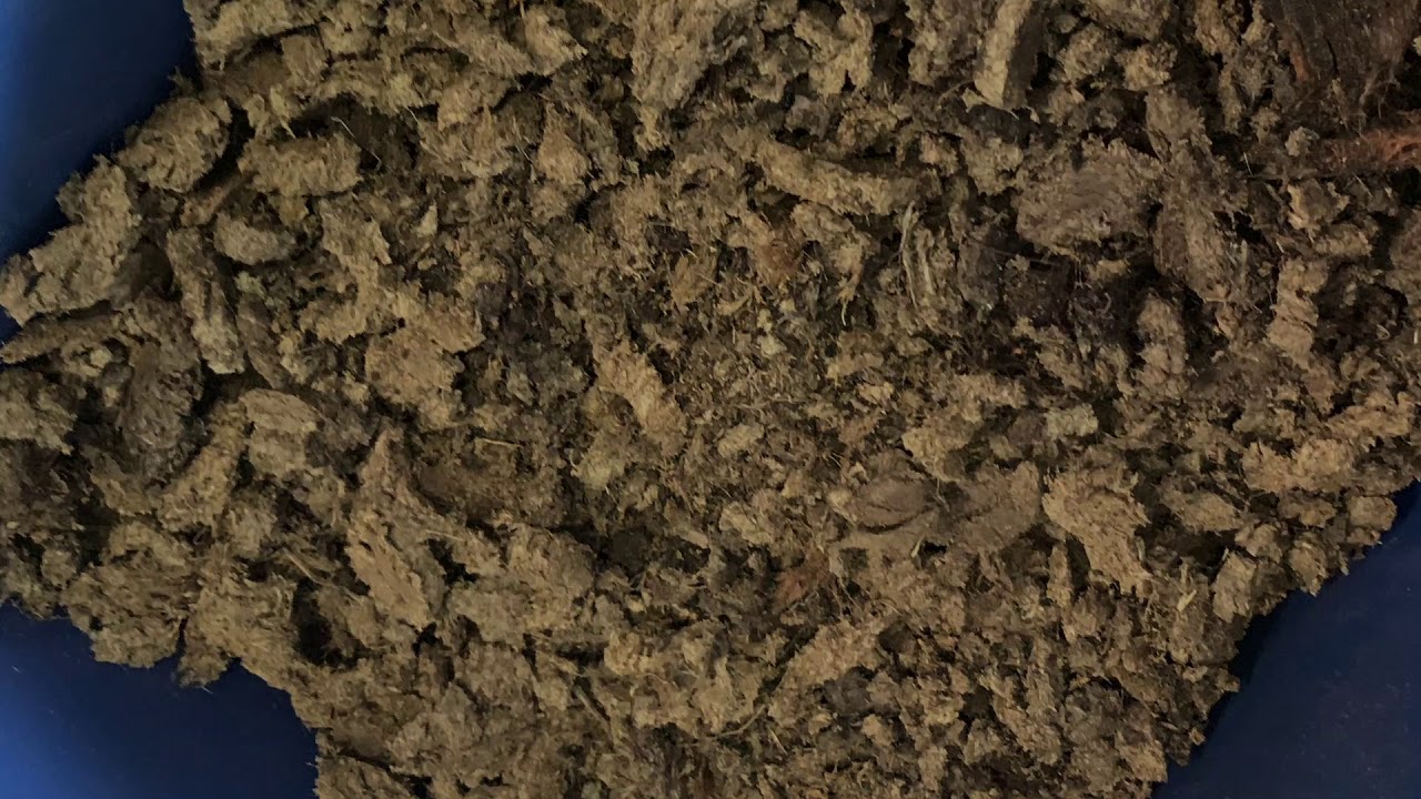 Logitec Plus Fibre Cutter VSM200 - YouTube